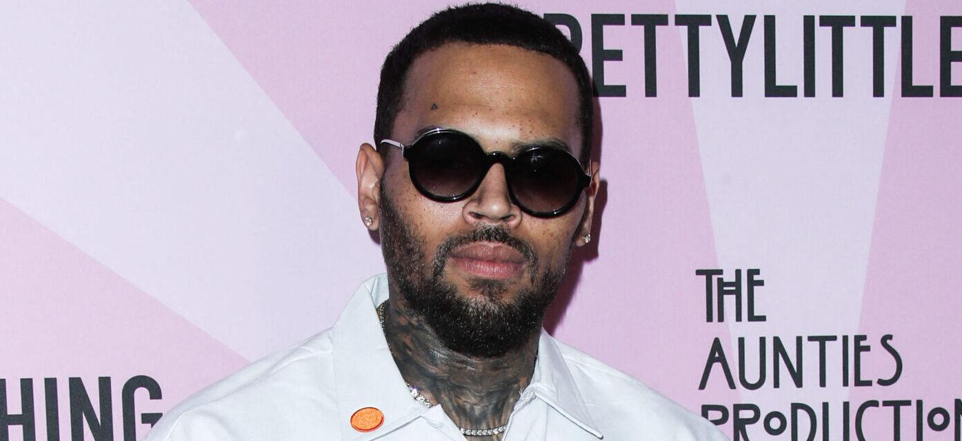 Chris Brown Slammed With Another Lawsuit Over Social Media Humiliation