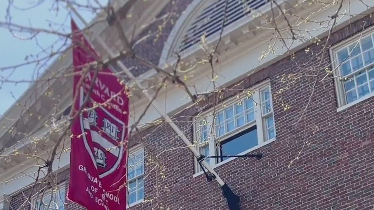 No Confidence? Why young voters are increasingly distrustful of the ...