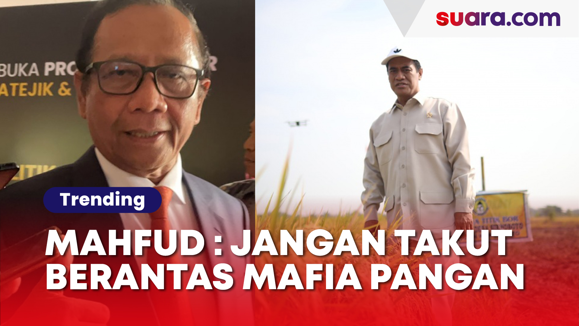 Pesan Mahfud MD untuk Mentan Amran: Jangan Takut Berantas Mafia Pangan