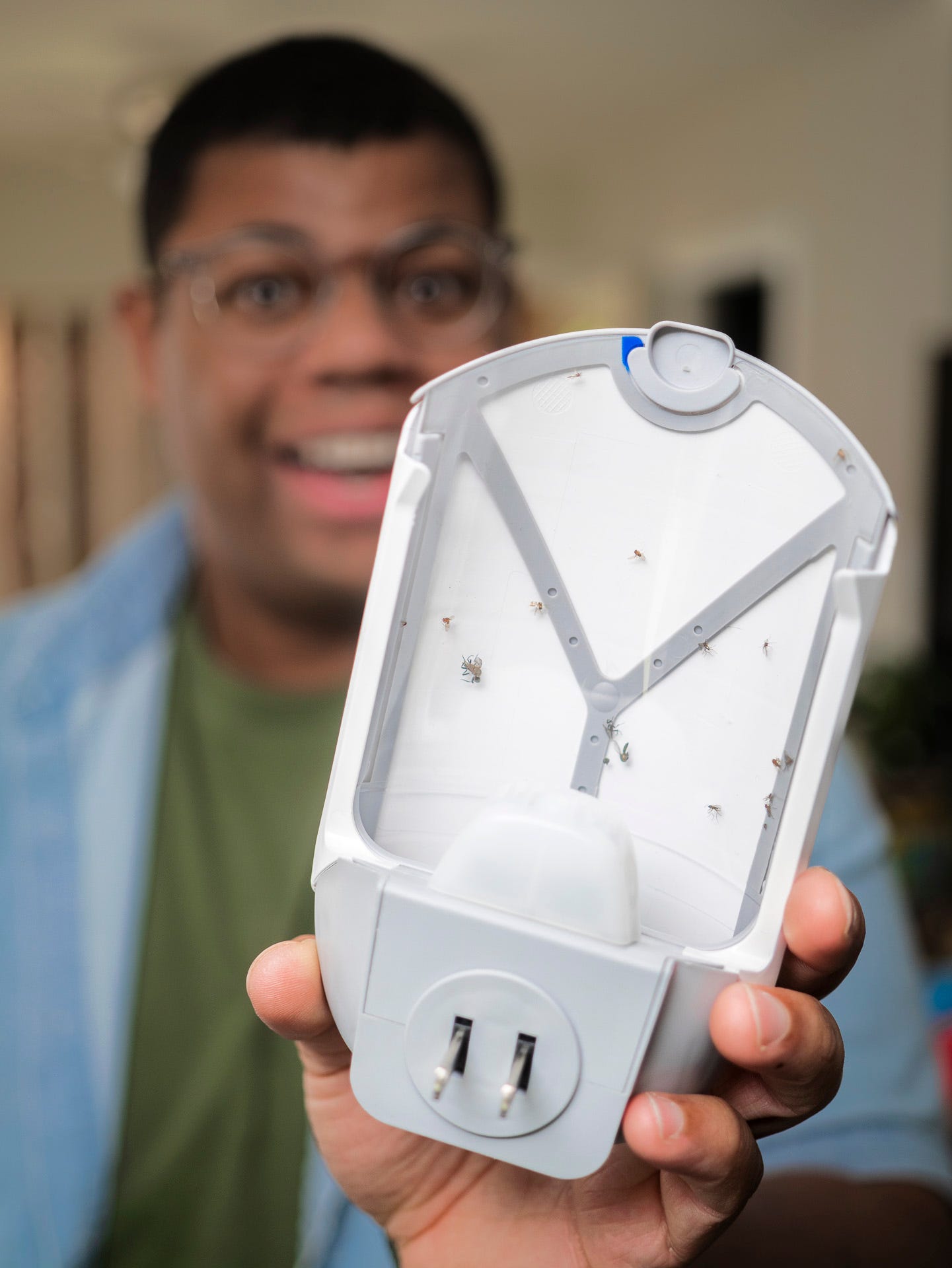 Fruit flies crashing your kitchen? Here's the fastest way to get rid of ...