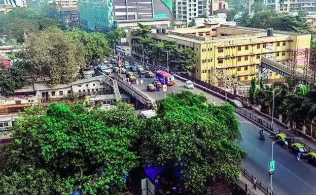 Now, Nov 30 deadline for opening of Belasis Bridge