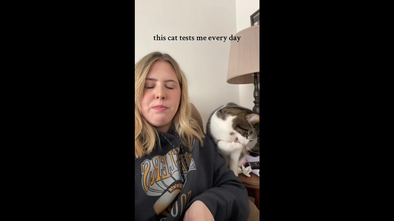 Cat Slaps Chips Away