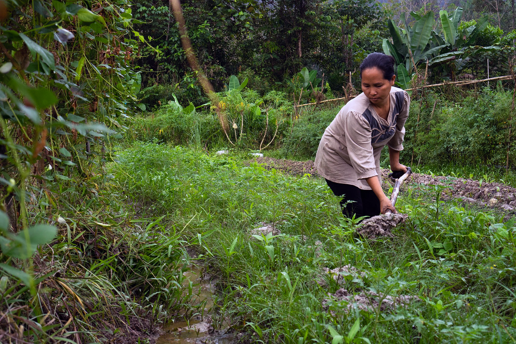 Take A Visit To The 'Wizarding World' With These 20 'Harry Potter' Memes