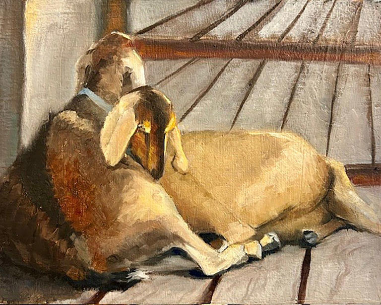 Check out Brew at the Zoo and 23 other things to do in Pueblo