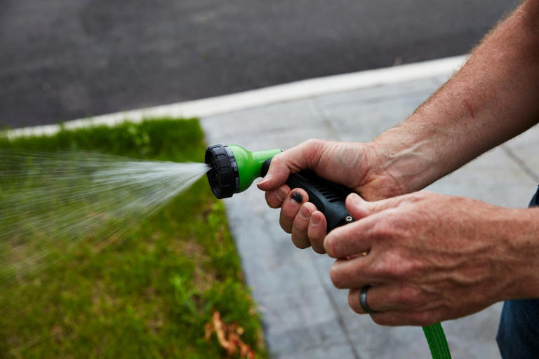 How to Fix Your Lawn so It Grows Thick and Looks Green All Year Long