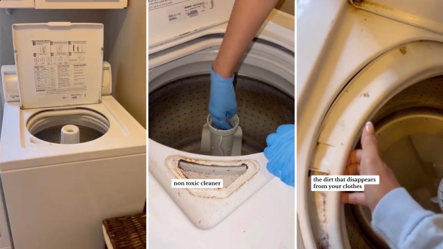Cleaning expert reveals money-saving tip to keep your washing machine ...