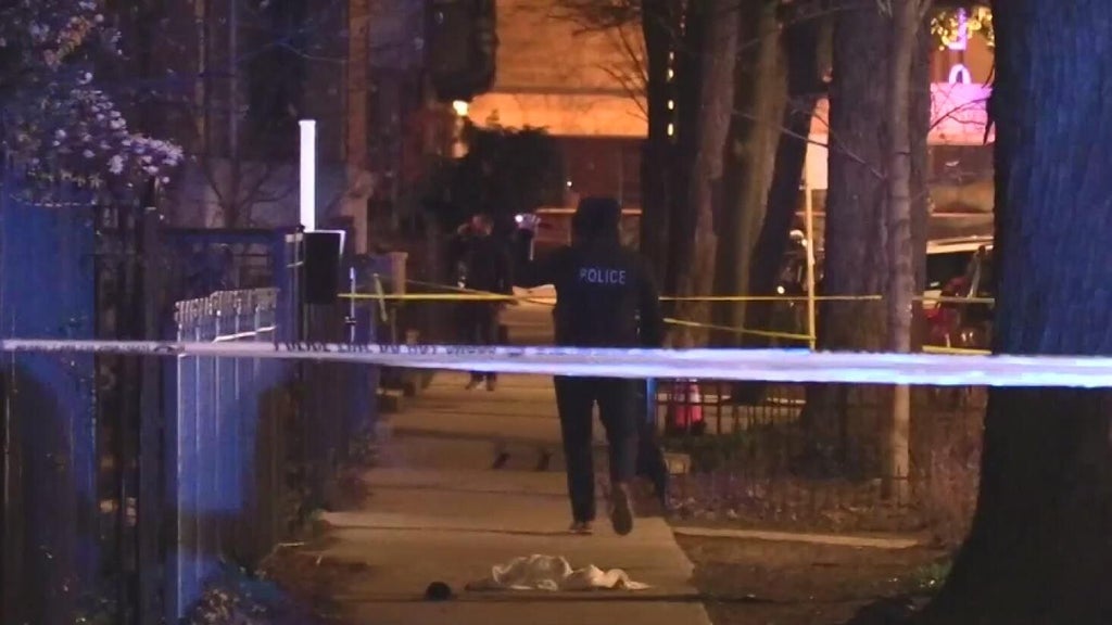 Woman charged in Lincoln Park shooting that killed Kevin Patel, 28 ...