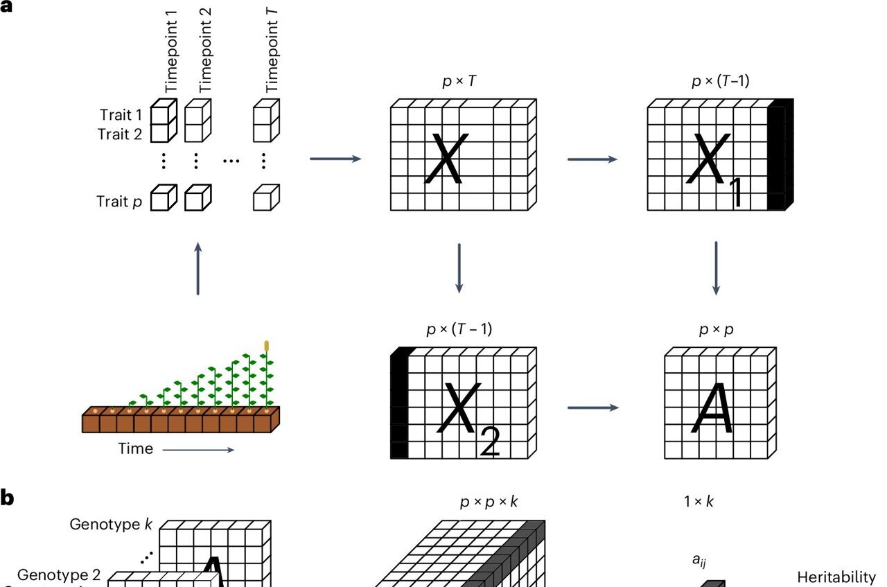 Computational Approach Improves Genomic Prediction Accuracy Of Agronomically Relevant Traits