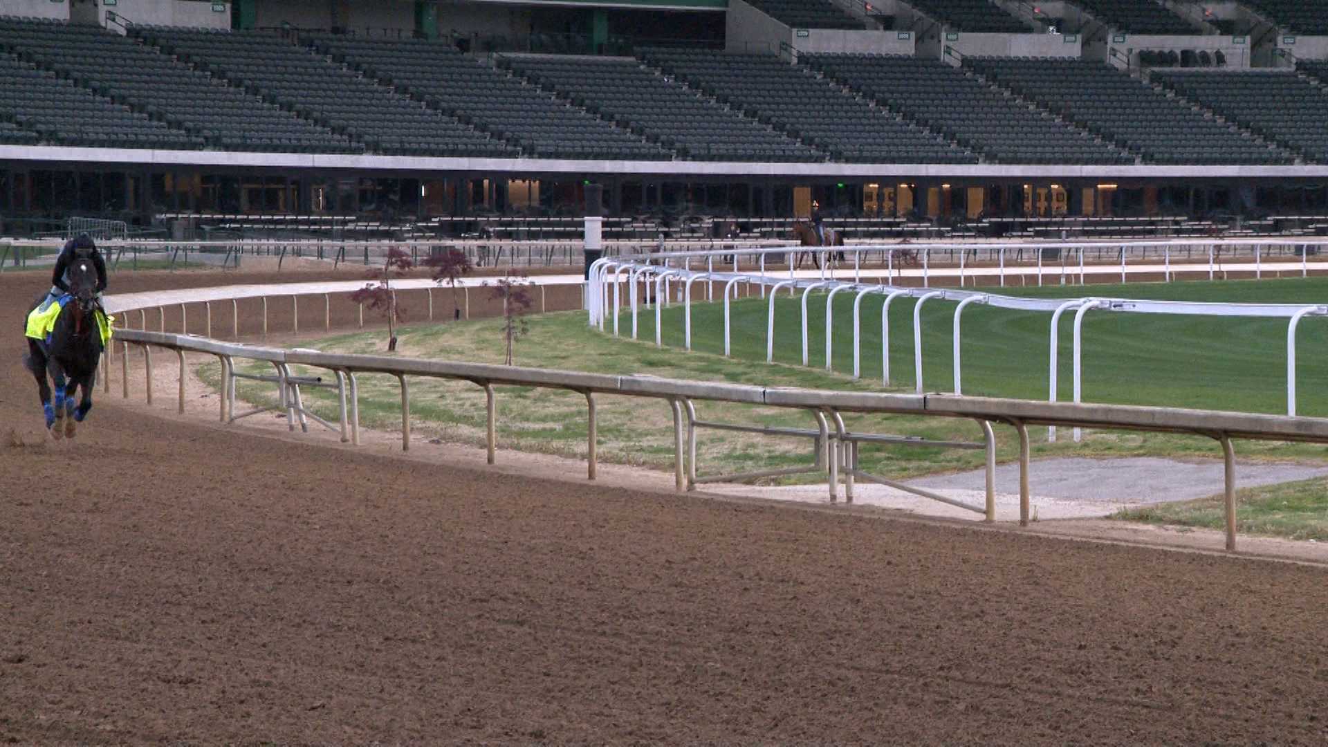 Horse euthanized after suffering injury at Churchill Downs