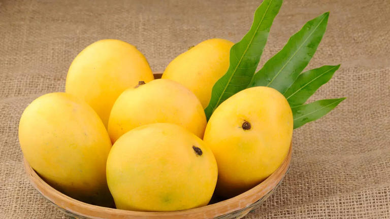 Fake Mango in Indian market: How to identify it at home and serious ...