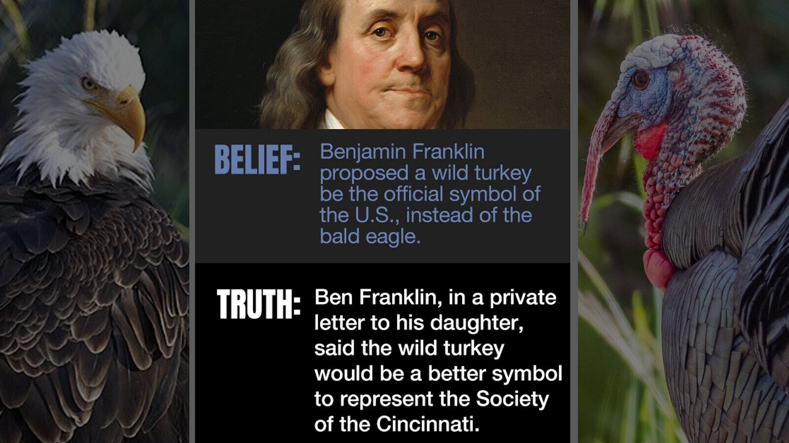 18 Myths, Misconceptions and 'Facts' From History That Aren't Even True