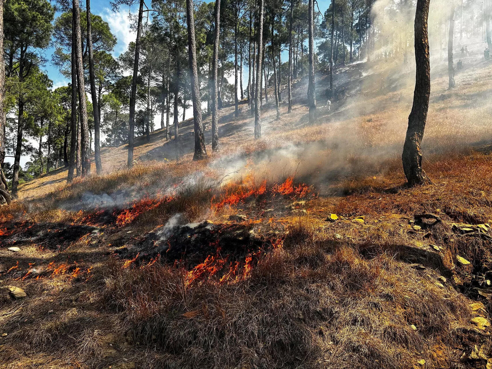 Goa To Conduct Statewide Mock Exercise on Cyclone Preparedness and ...