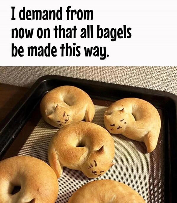 45 Funny Cooking Memes For Foodies With A Sense Of Humor (April 24, 2025)