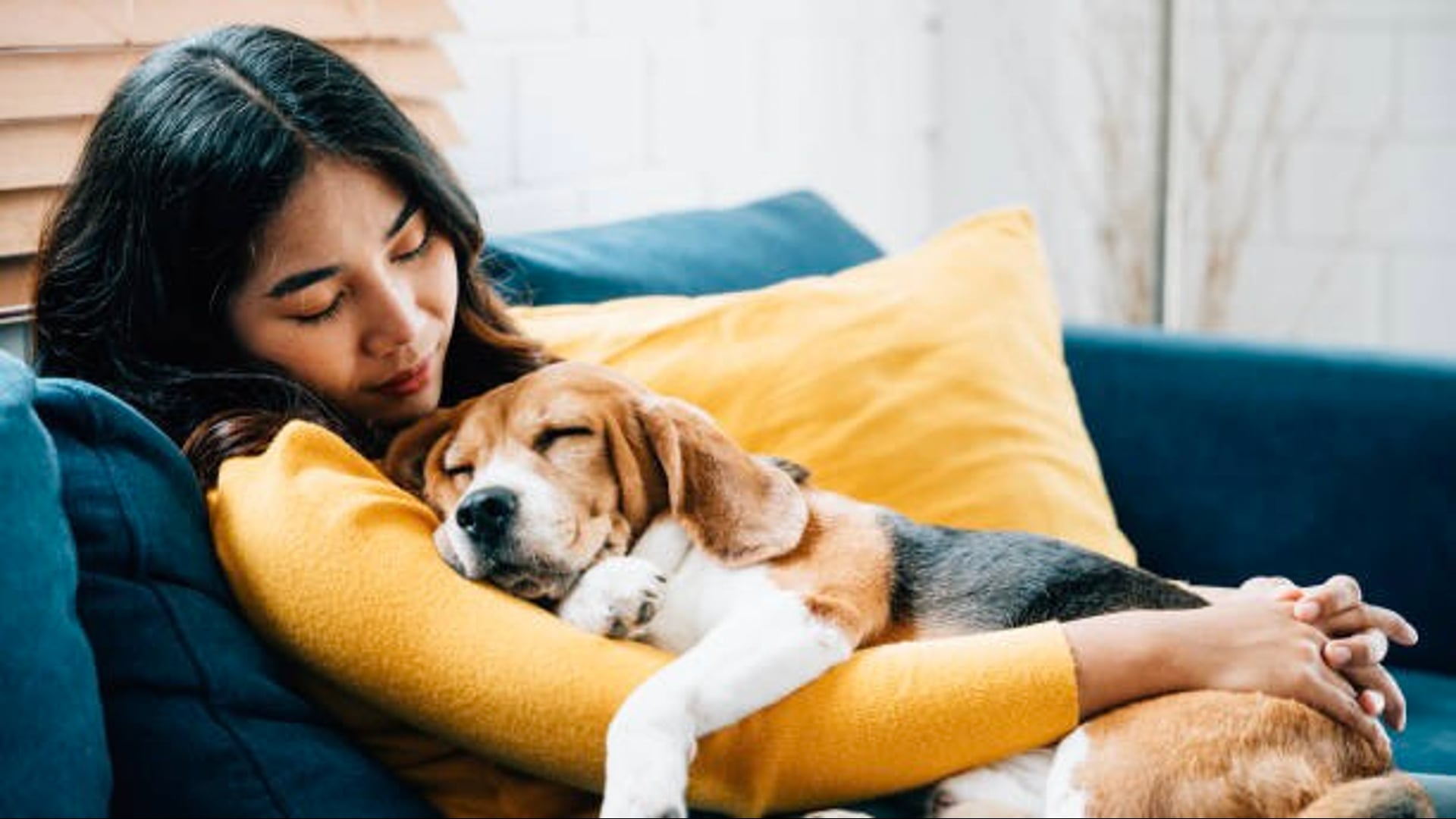 Why Dogs May Offer More Fulfilling Relationships Than Most Humans