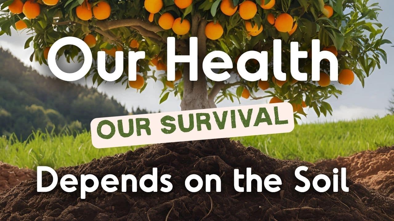 What Are Regenerative Foods — And Why They Might Be the Key to Better ...