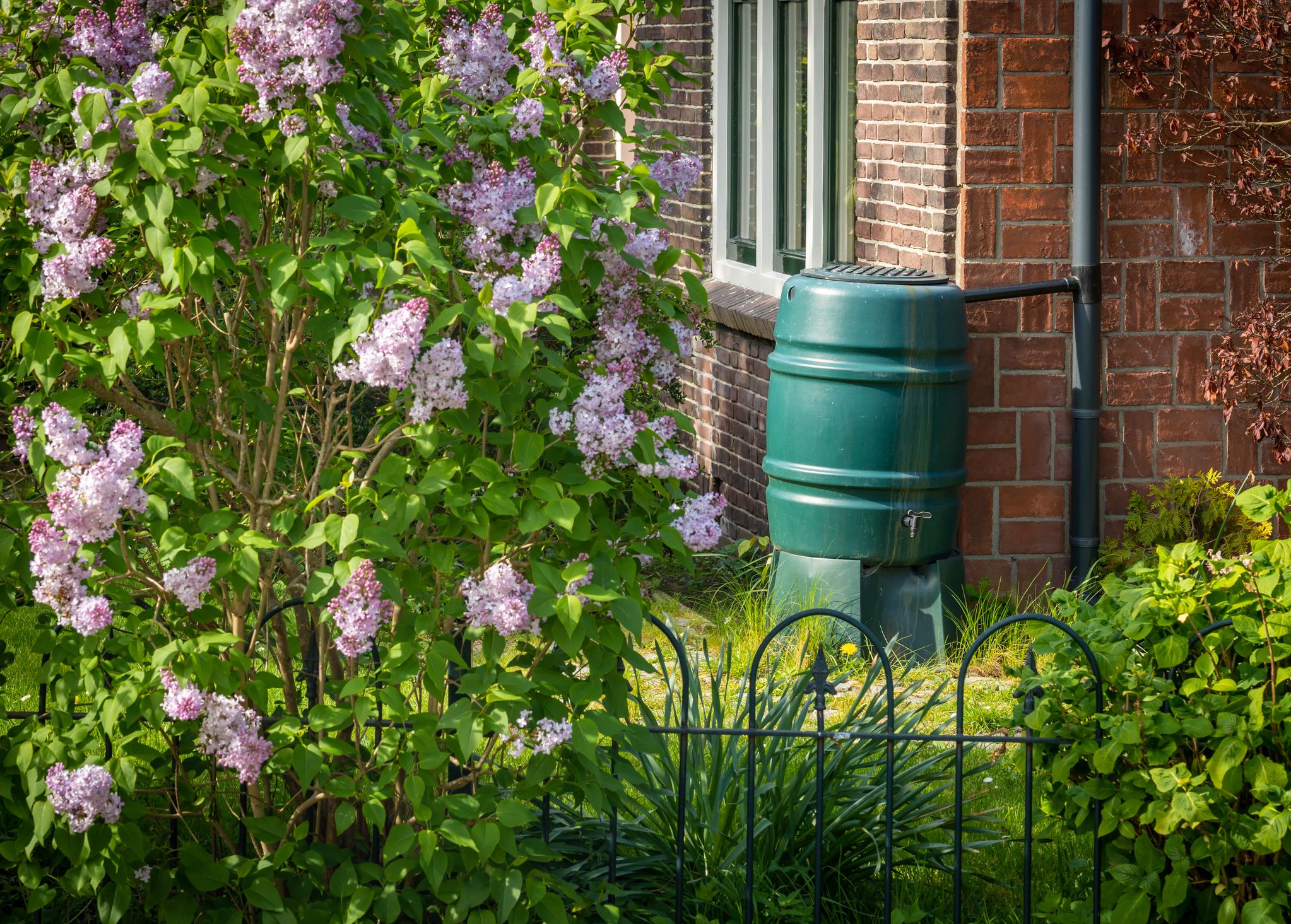 6 Best Rain Barrels, According to Outdoor Pros