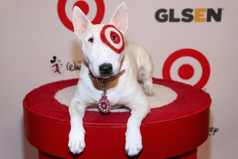 Who Is Bullseye? Everything You Need to Know About the Target Mascot