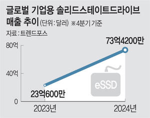 AI 열풍에 ‘eSSD’ 시장 급성장… 관련업계 매출 218% 폭증