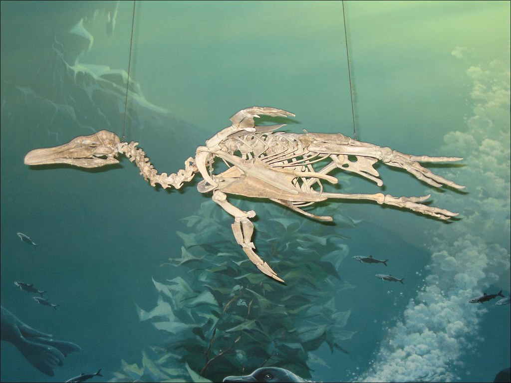 The Giant Fossil Penguins of Prehistoric Antarctica – World Penguin Day ...