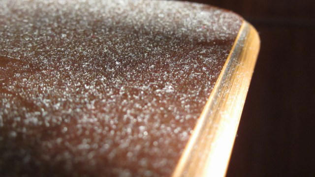 Researchers make disturbing findings in household dust near industrial ...