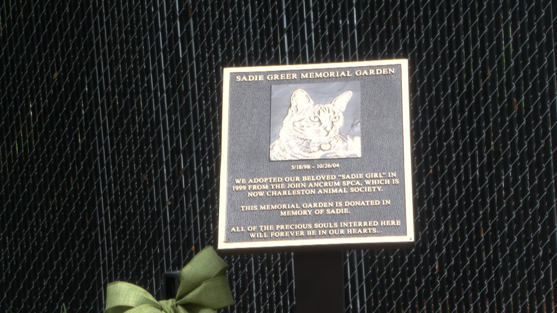 Lowcountry animal memorial garden now open to honor lost pets