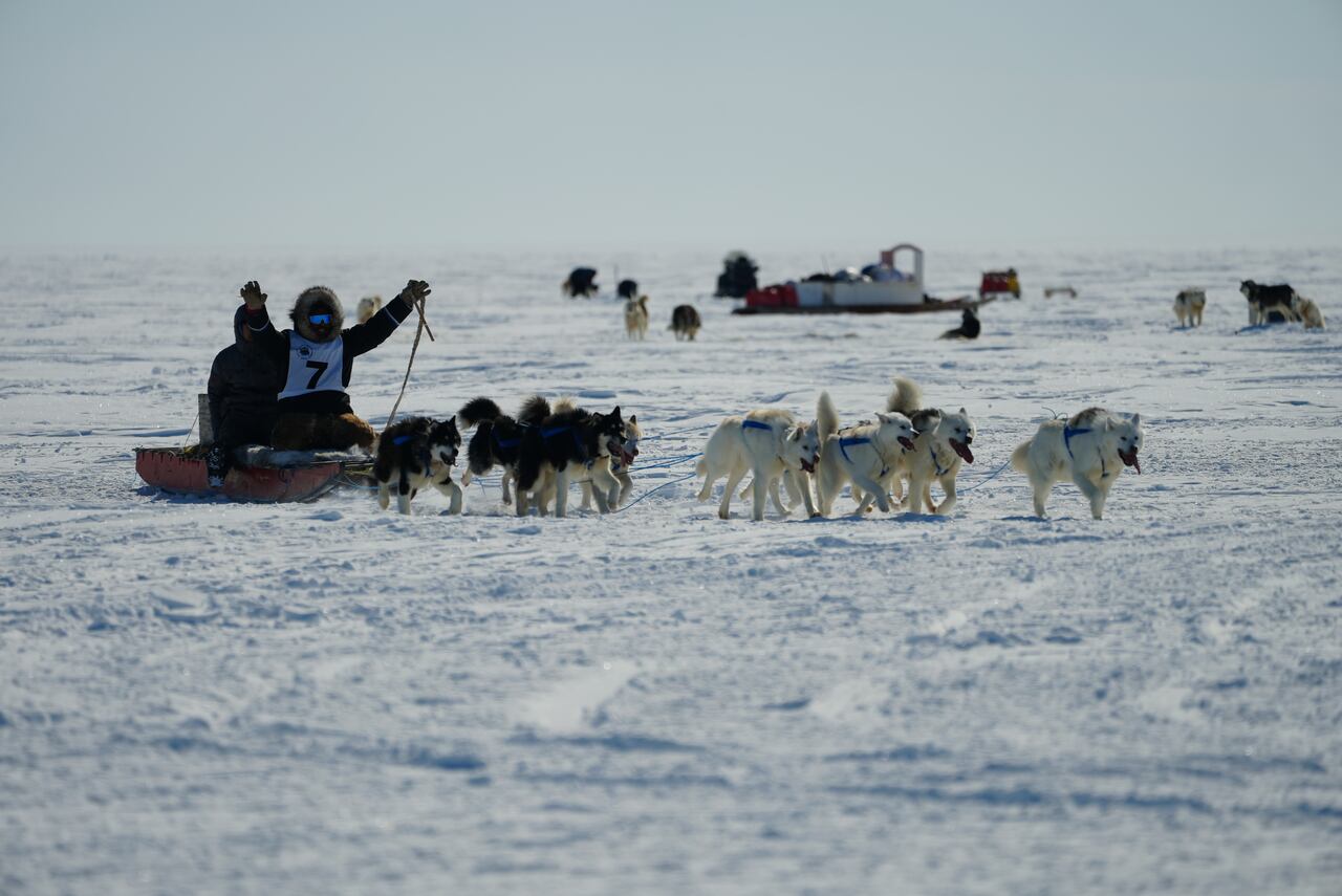 8 mushers cross the finish line at the Nunavut Quest