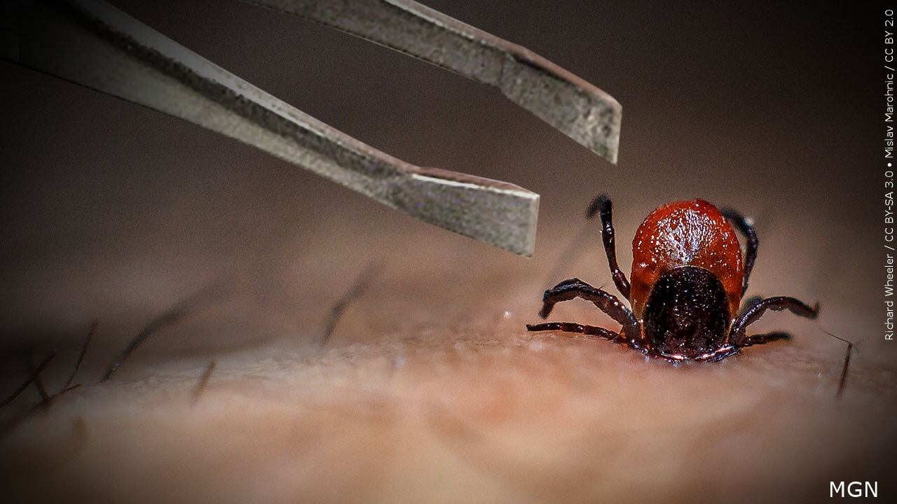 Tick season returns with new concerns