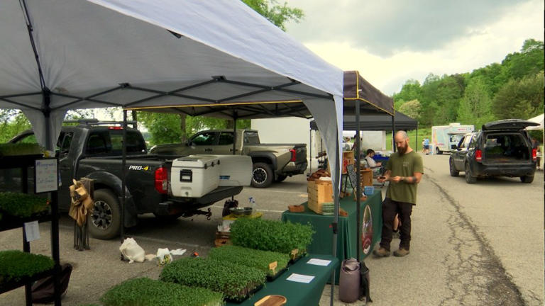 East TN farmers face tough choices as tariff impacts take hold