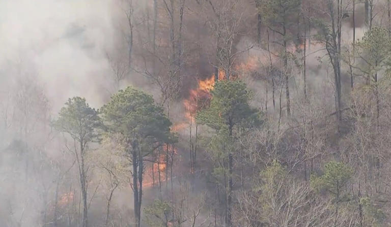 Man charged with arson after authorities say he sparked New Jersey Pine ...