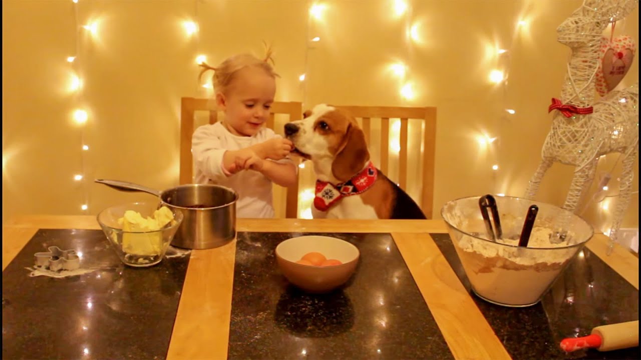 Baby and beagle bake gingerbread as the cutest Christmas duo