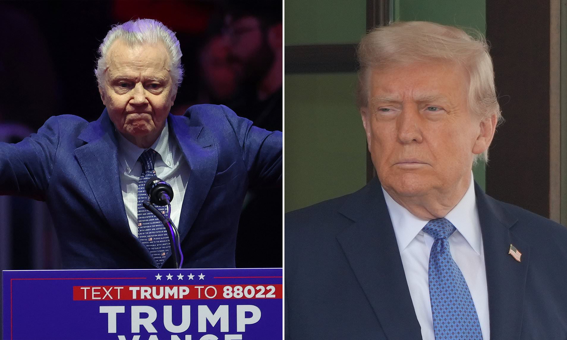 Angelina Jolie's father Jon Voight pitches wild plan to Trump to turn ...