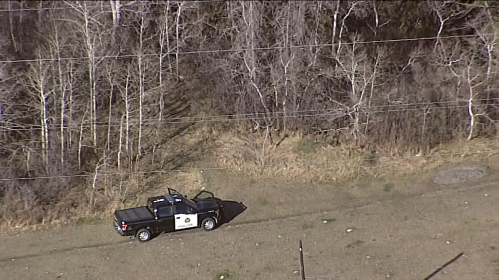Calgary police investigate possible discovery of human remains