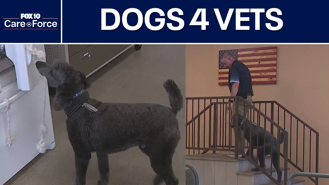 Dogs 4 Vets | Care Force
