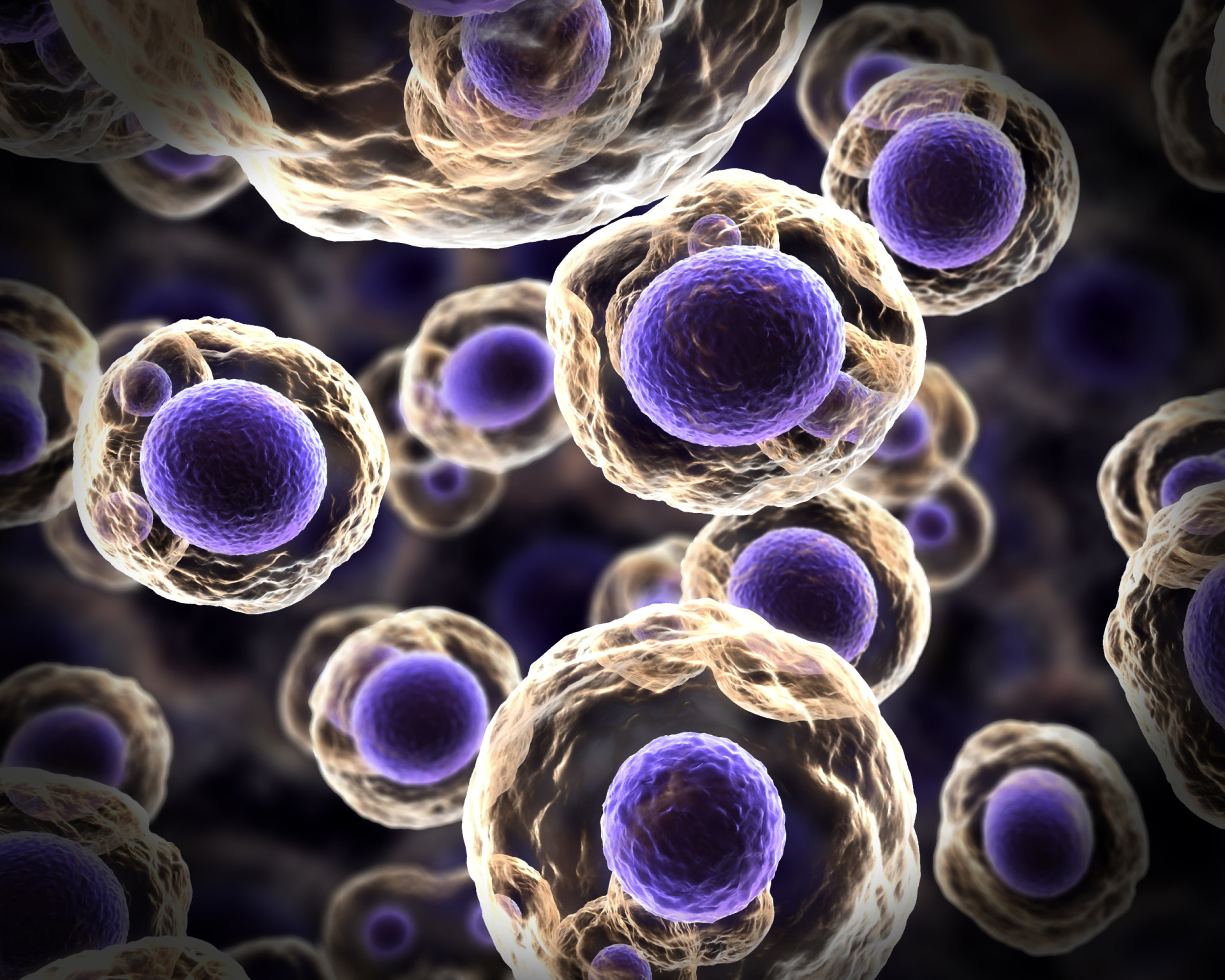 The Y chromosome is disappearing, so what will happen to men?