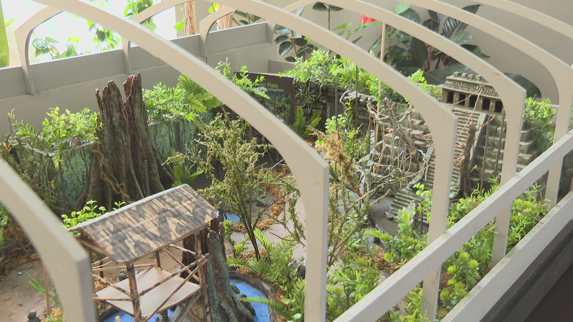 Work begins on the Greensboro Science Center's new biodome