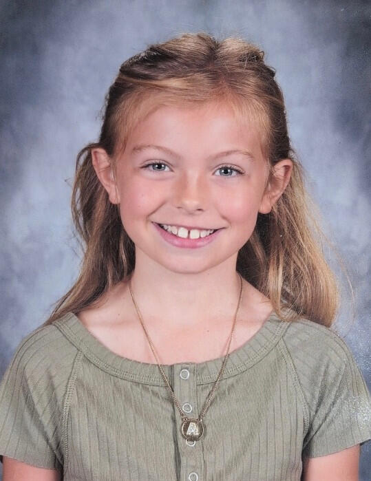 Driver in Chatham, Illinois, crash that killed 4 at after-school ...