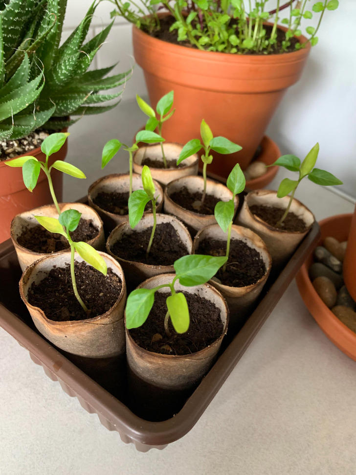 10+ Times Simple Items Became Creative Masterpieces in the Right Hands