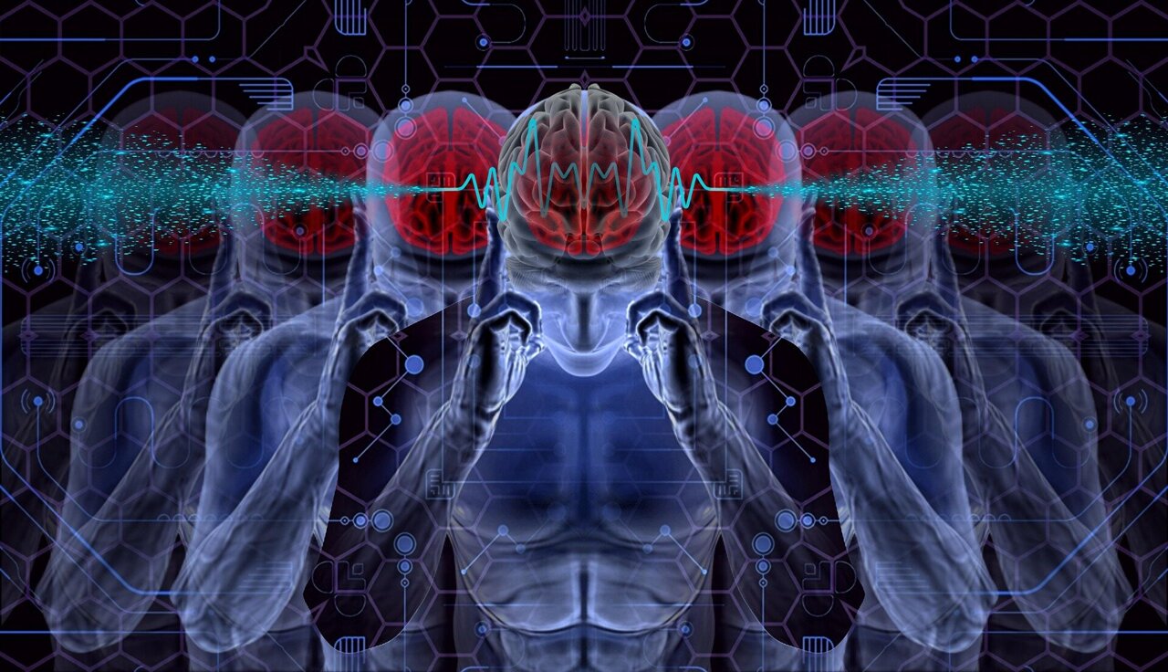 Chimeric brain models can help bridge the gap between animal studies ...