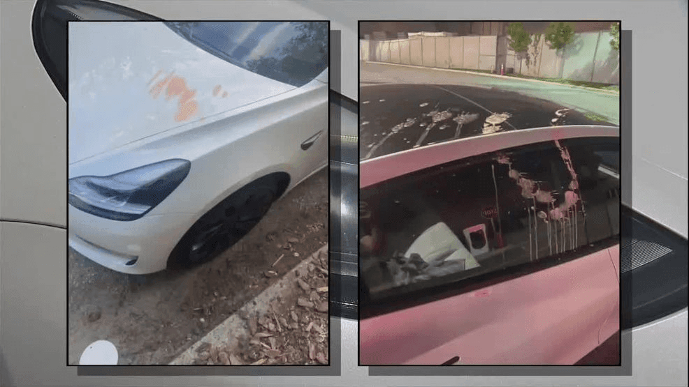 Local Tesla owner claims car has been targeted, vandalized multiple times