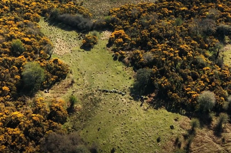 Boffins reckon the beautiful game was invented in Scotland after huge ...