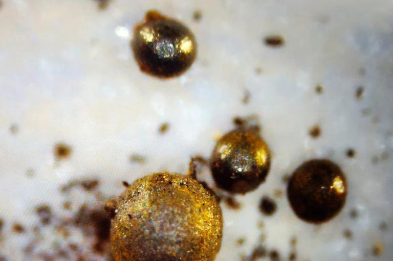 UFO congressional hearing bombshells as ex-NASA boss shares possible ...