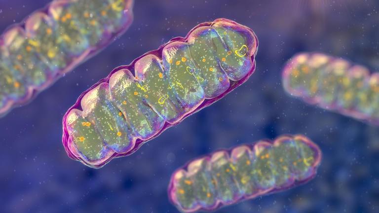 Scientists just discovered a single molecule that may treat rare ...