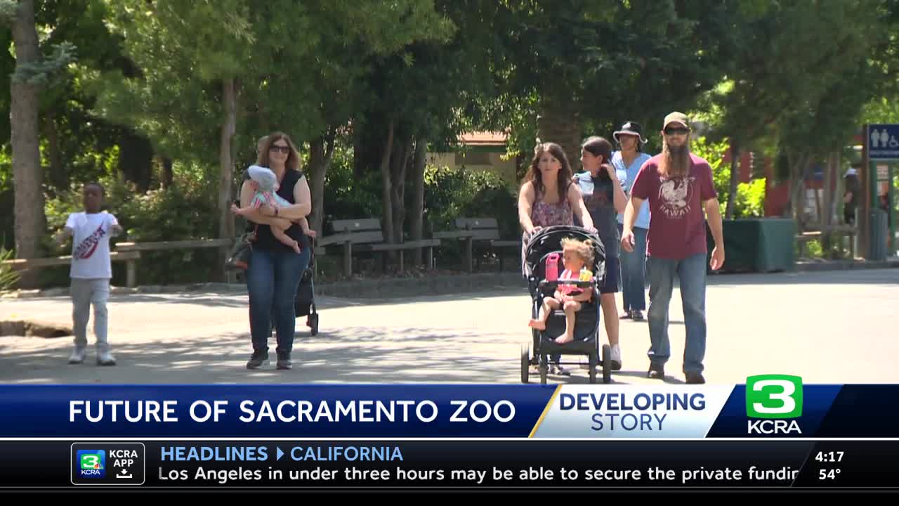 Sacramento Zoo Society answers questions about scrubbed relocation plan