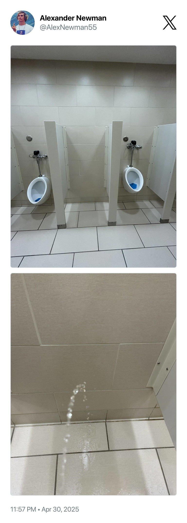 29 Funniest Tweets Of All Time From Thursday (May 1, 2025)