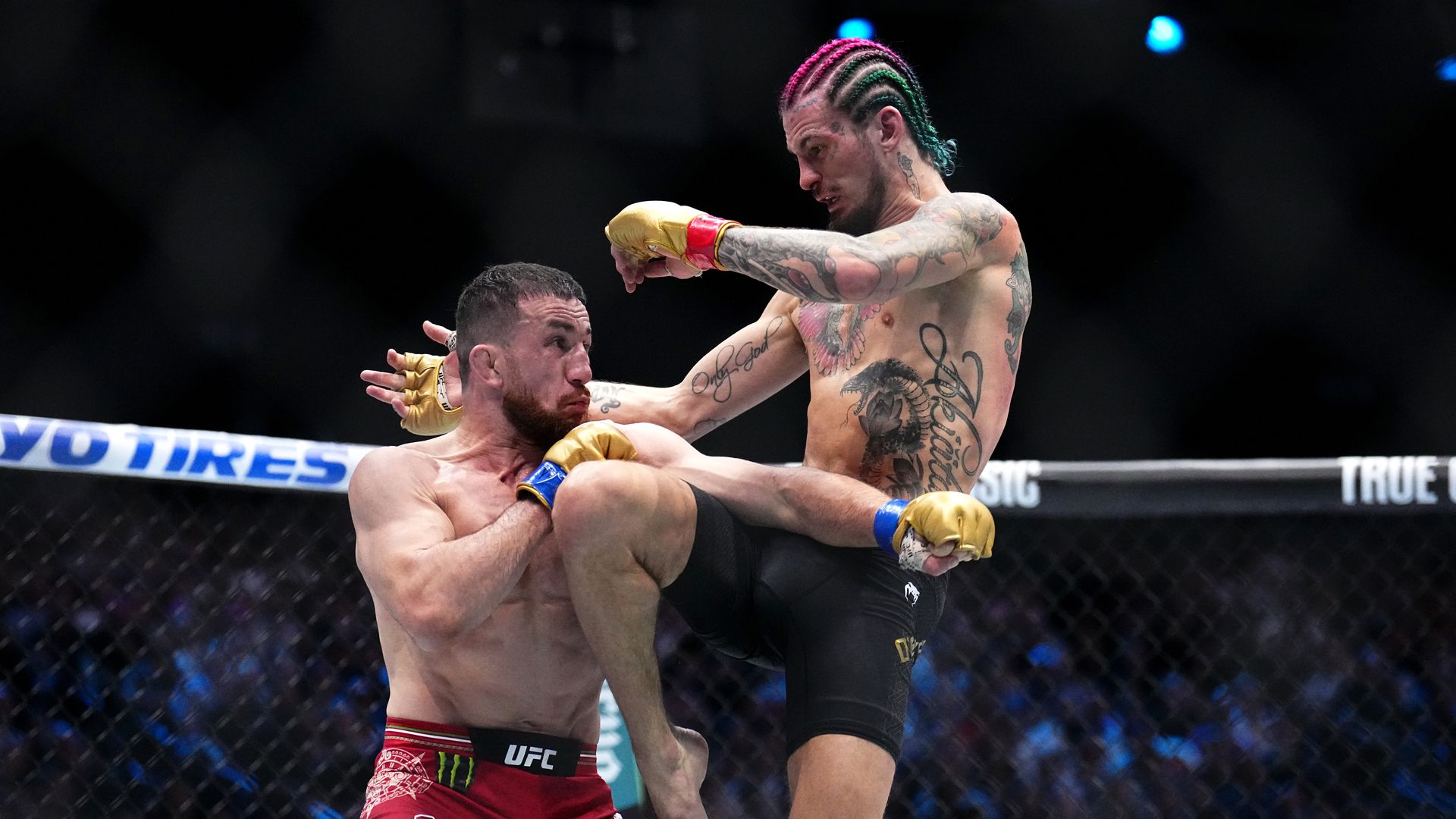 UFC 316 poster released featuring pair of title fight grudge matches