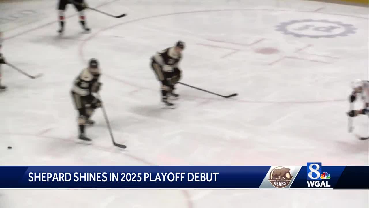 Hunter Shepard dominates for Bears in 3-0 shutout victory