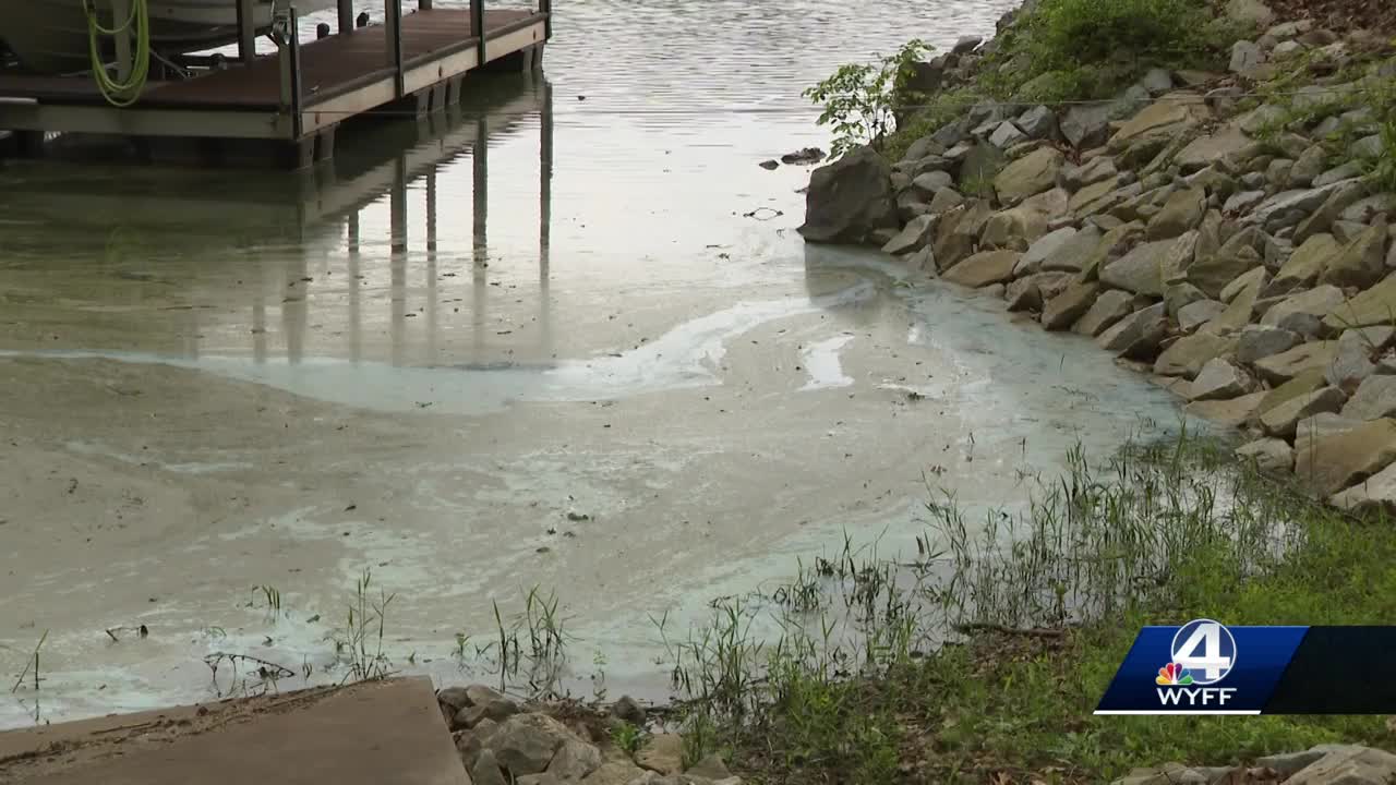 Harmful Algal Bloom found in Lake Hartwell: Neighbors express health ...