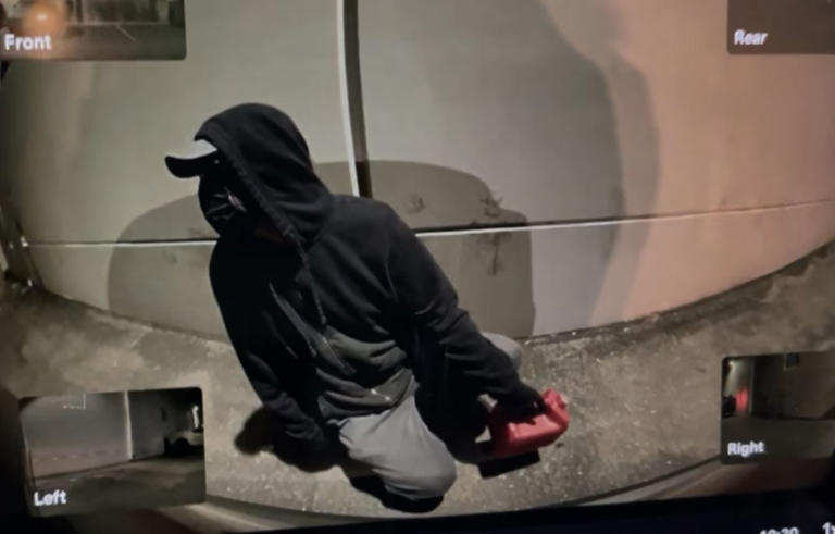 Arizona Tesla vandalism suspect pleads not guilty, will be detained ...