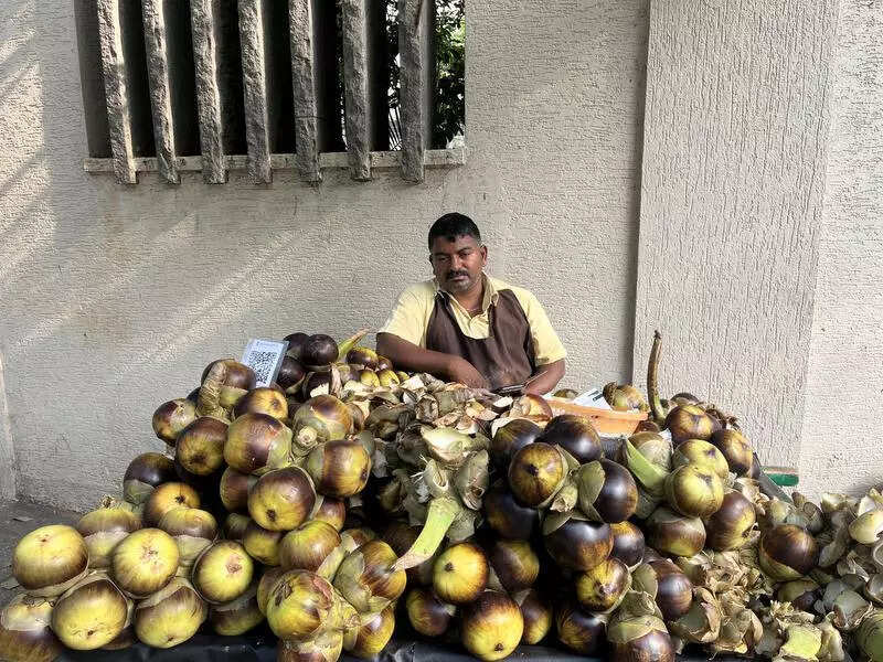 Why have ice apples become costly in Bengaluru?