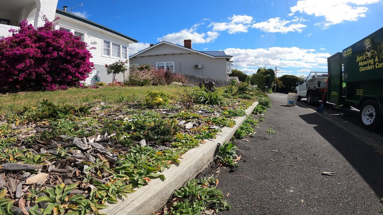 I had to Save this Garden